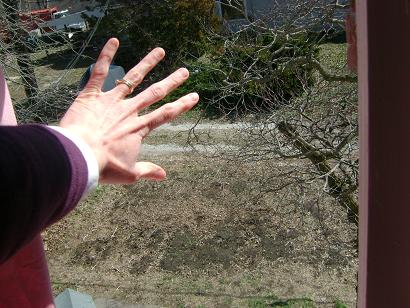 Gratituesday: Broken Window | Heavenly Homemakers