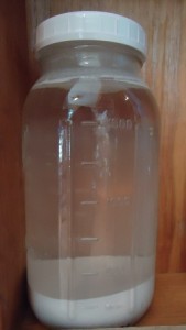 How to Soak Corn Meal for Better Digestion | Heavenly Homemakers