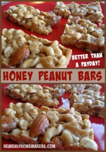 Honey Peanut Bars ~ Like a Healthy Payday Candy Bar | Heavenly Homemakers