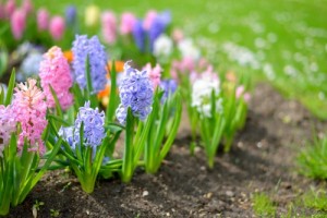 Need a Fresh Start? April Health Challenge ~ Join Us! | Heavenly Homemakers