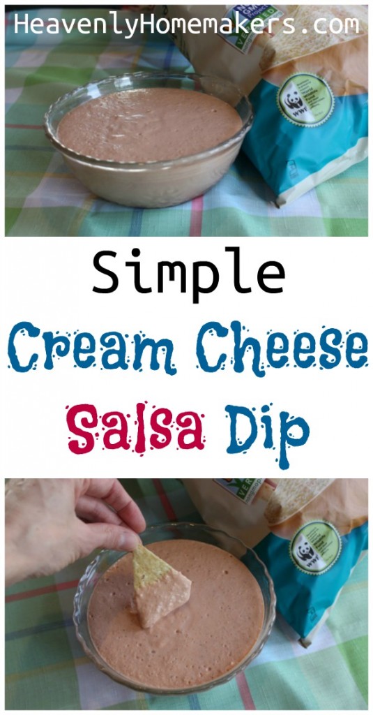 Simple Snack Recipe: Cream Cheese Salsa Dip | Heavenly Homemakers