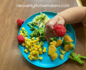 Heavenly Homemakers | Encouraging women in homemaking, healthy eating ...