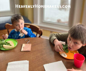Heavenly Homemakers | Page 5 of 416 | Encouraging women in homemaking ...