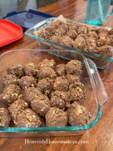 Healthy Treat for Today: Mudballs | Heavenly Homemakers